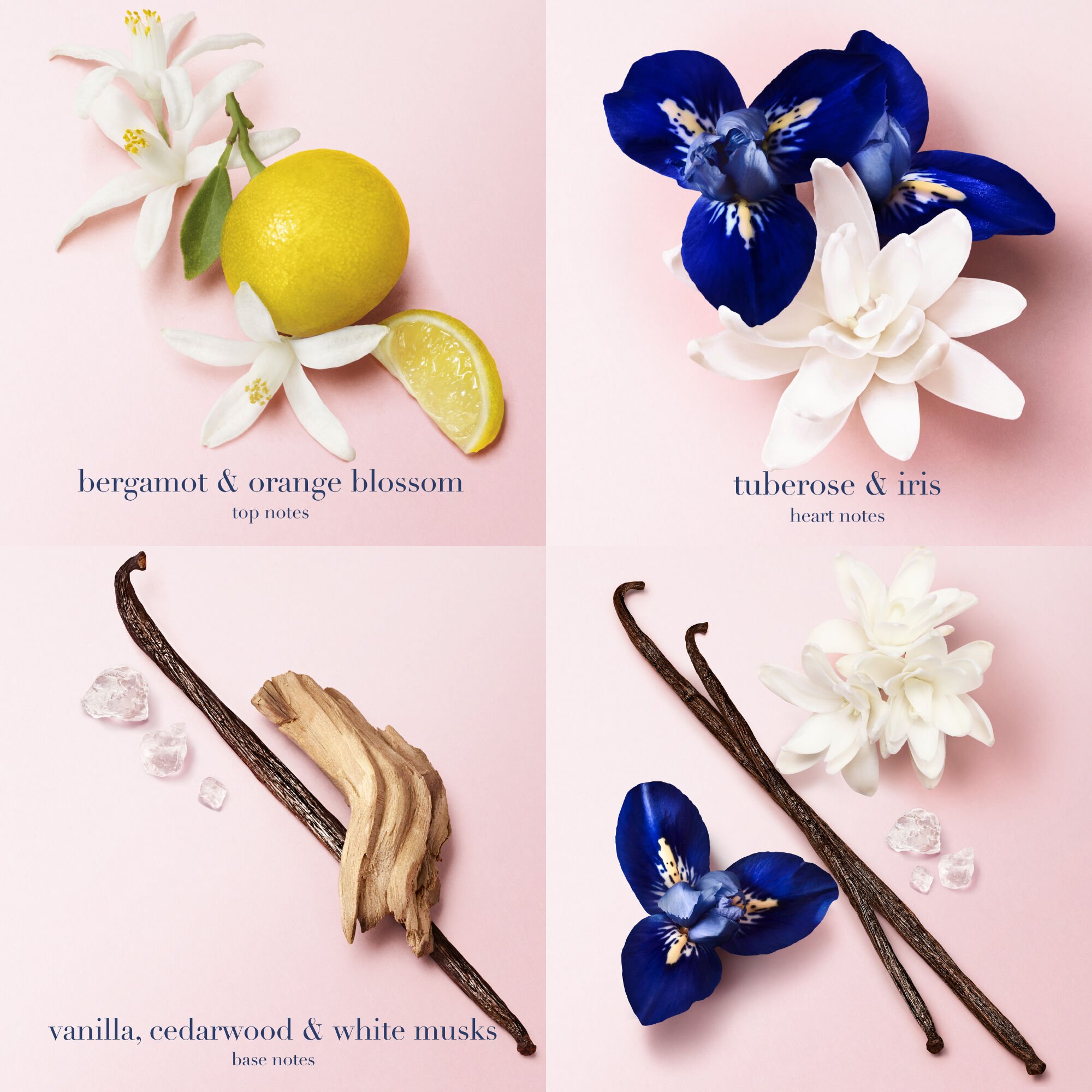 My Way Parfum — Floral, Vanilla Wood Perfume — Armani Beauty