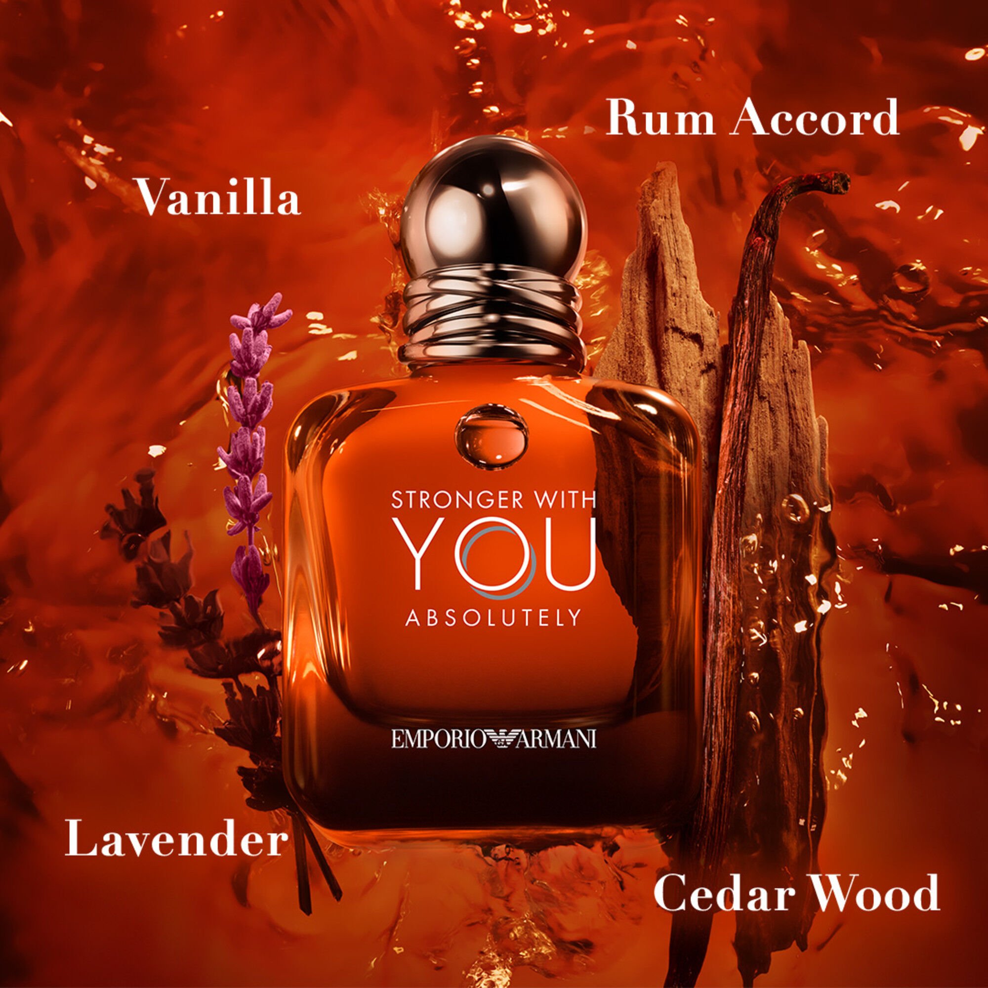 Stronger With You Absolutely - Men's Fragrance - Armani Beauty